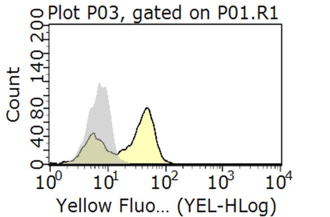 MilliporeSigma Syndecan-1, Mouse, Unlabeled, Clone: 11G2.1, 100μg; Unlabeled:Antibodies ...
